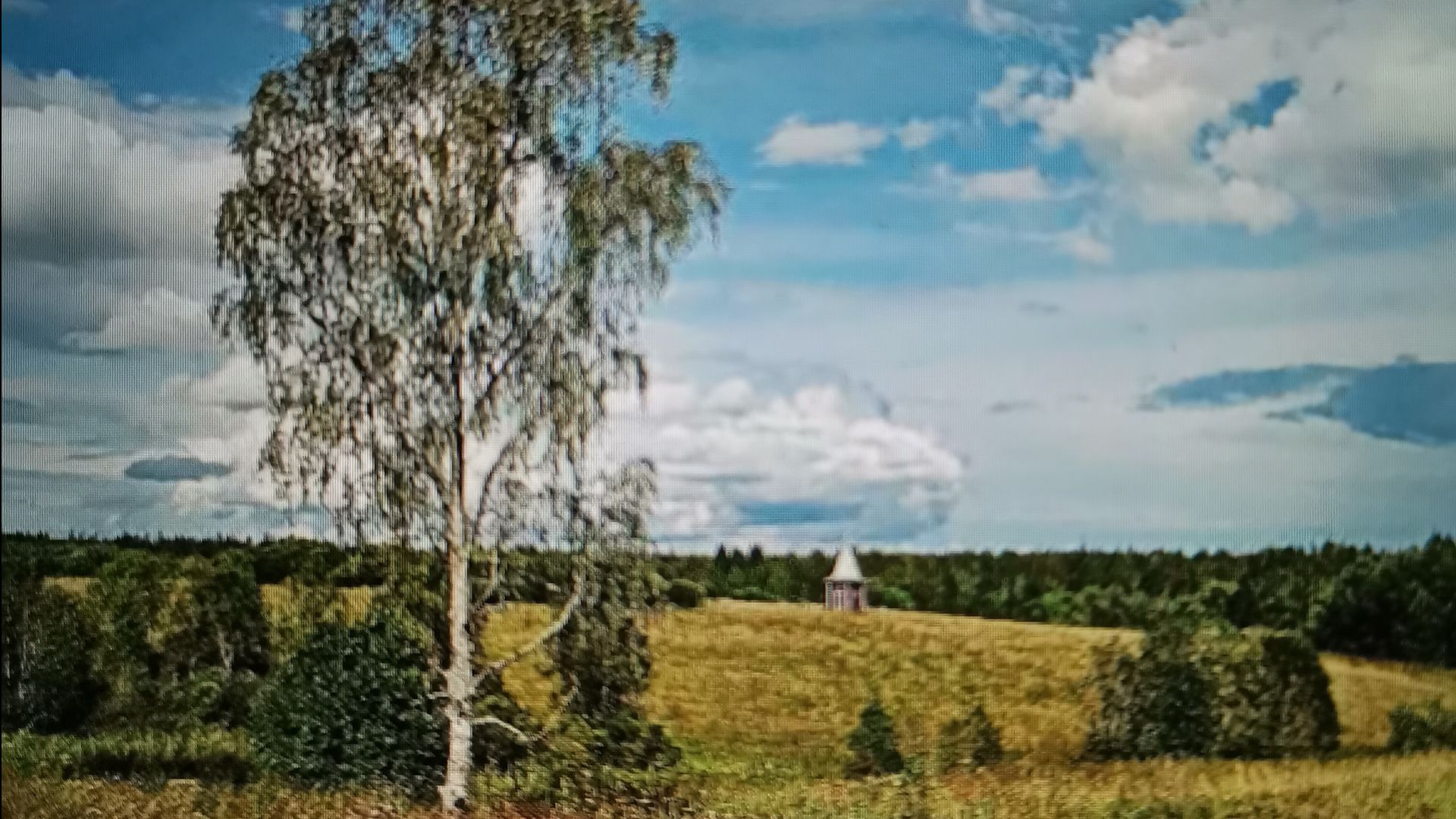 Во поле берёза стояла