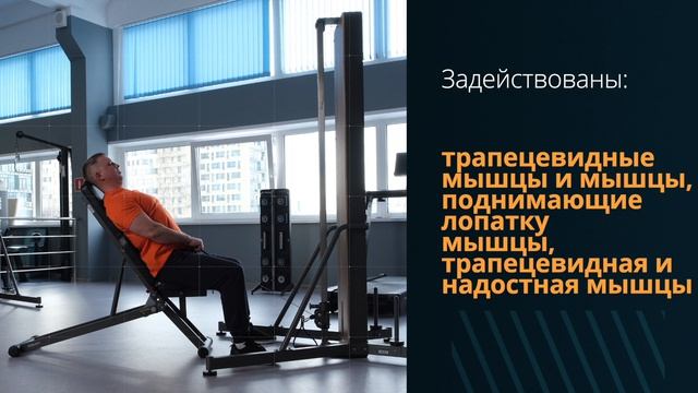 Регулируемая тяга Xenjoy: одобрено доктором Шишониным