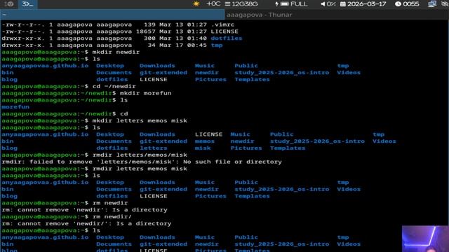 Выполнение 6 лабораторной работы