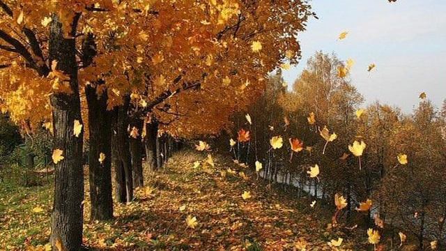 Опадают листья,опадают..