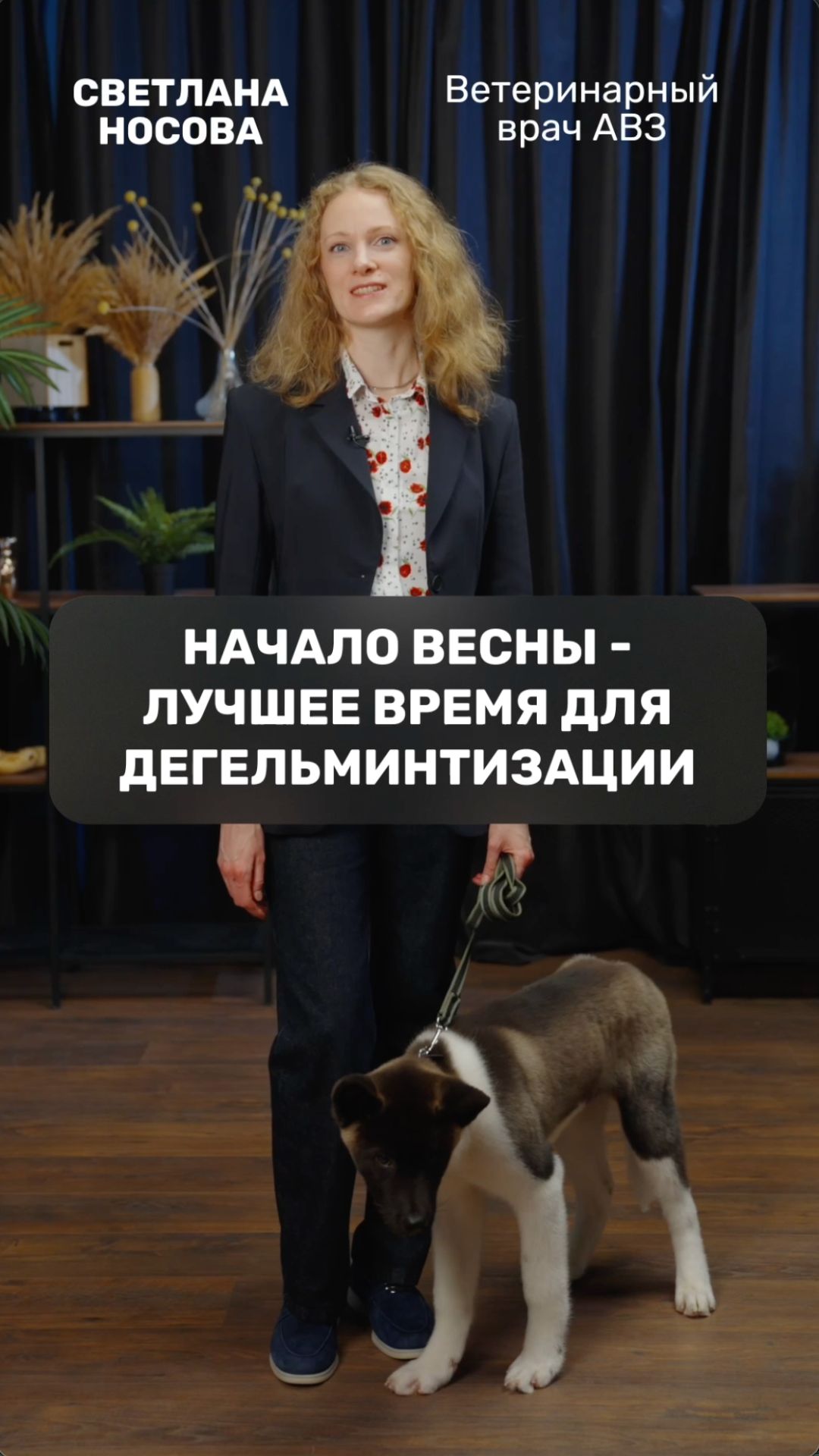 Начало весны — лучшее время для дегельминтизации