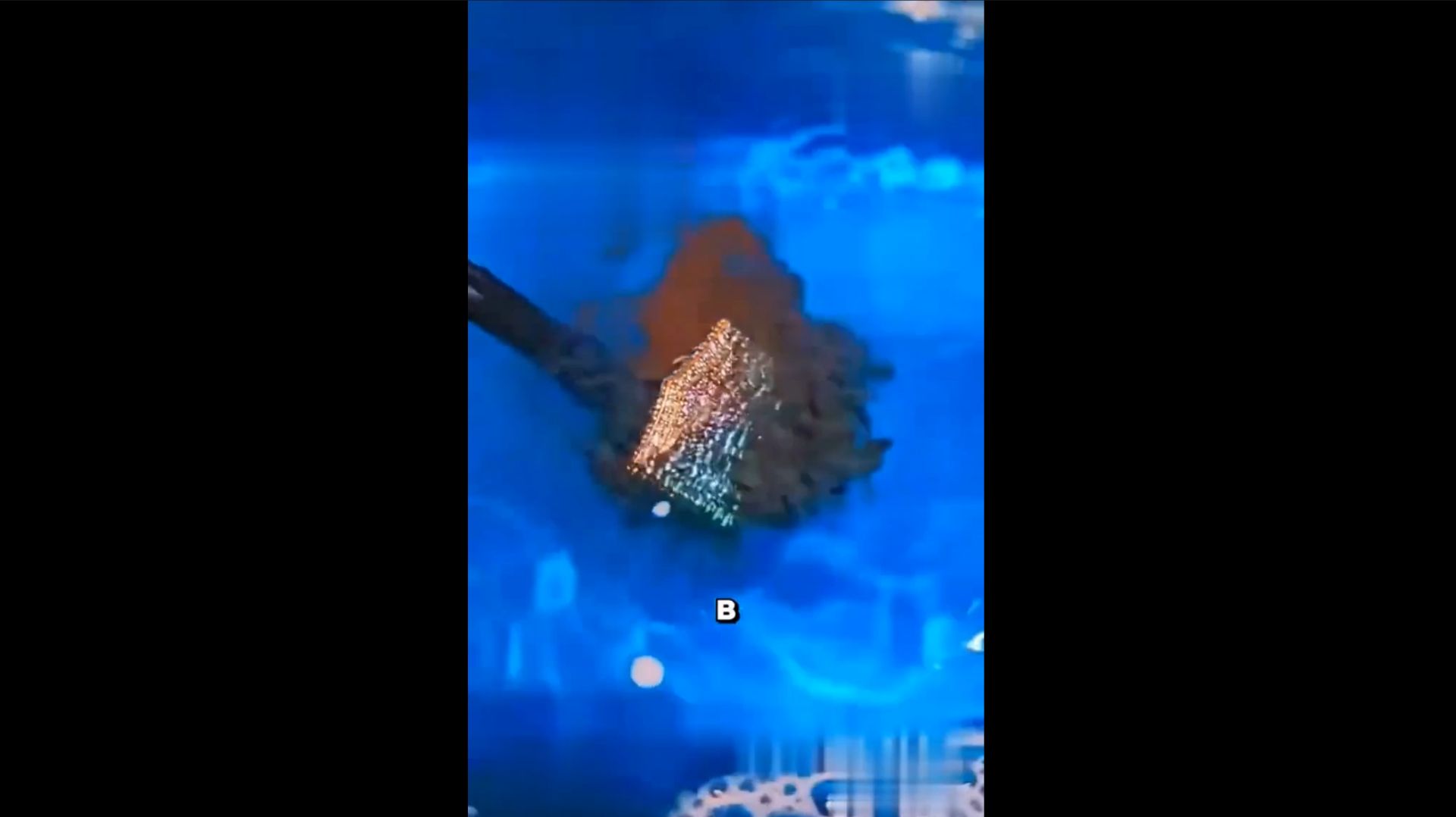 Чистка ультразвуком