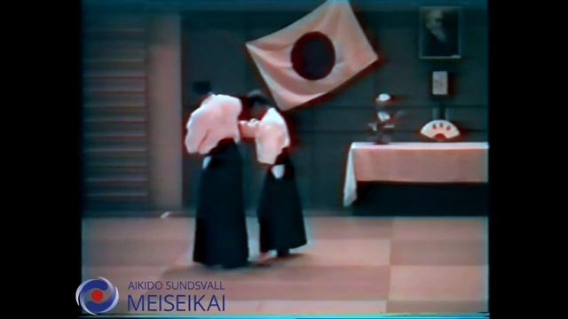 4.Aikido Ai Hanmi Do Barai Iriminage Nishio Sensei Uppsala 1994