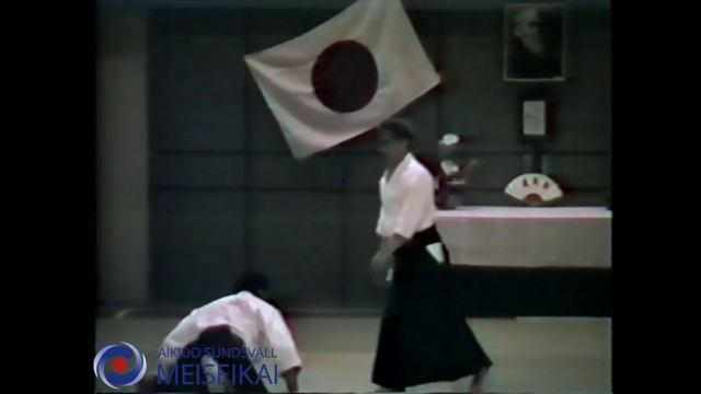 Aikido-Seminar-Nishio-Sensei-Uppsala-1994