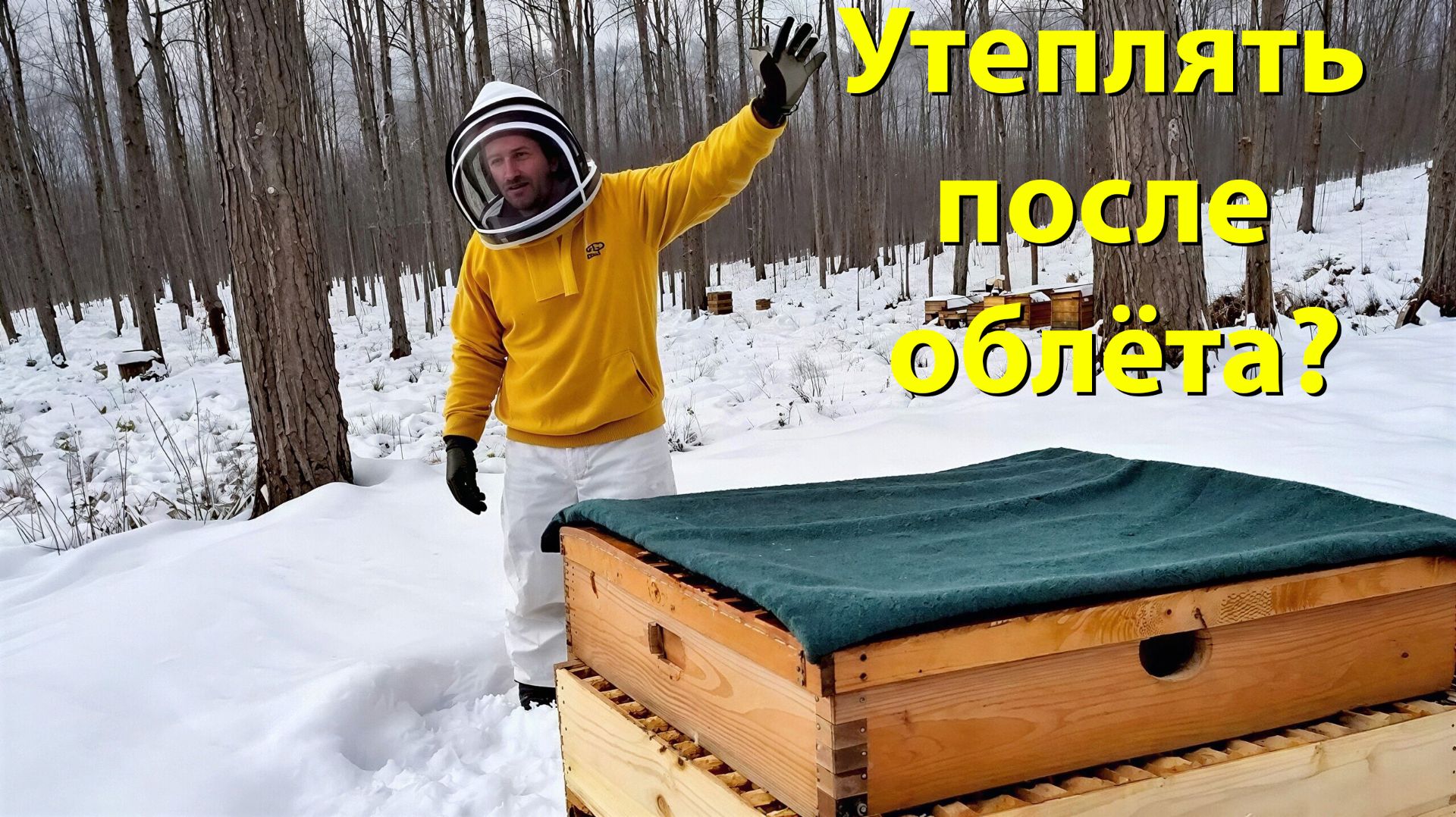 Когда утеплять пчёл после выставки? / Чтобы матка не сеяла рано / Совет Кашковского