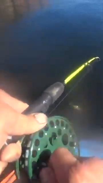 Выловил и пожалел!обосала рыба Shorts