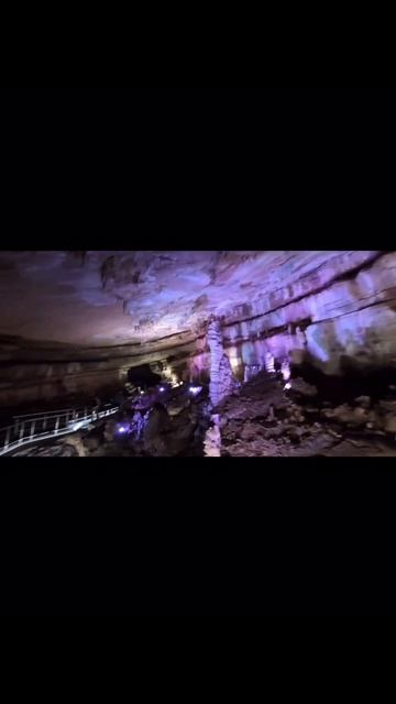 Грузия. Кобулетти. Парк Сатаплия, кроме пещеры — колхидский реликтовый лес, окаменелые следы динозав