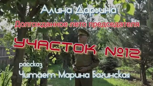 Алина Дарьина _Участок № 12_ рассказ Читает Марина Багинская