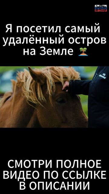 Я посетил самый удалённый остров на Земле 🏝️ ЧАСТЬ 3/12