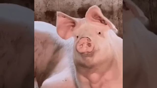 ЗаГадочный взгляд