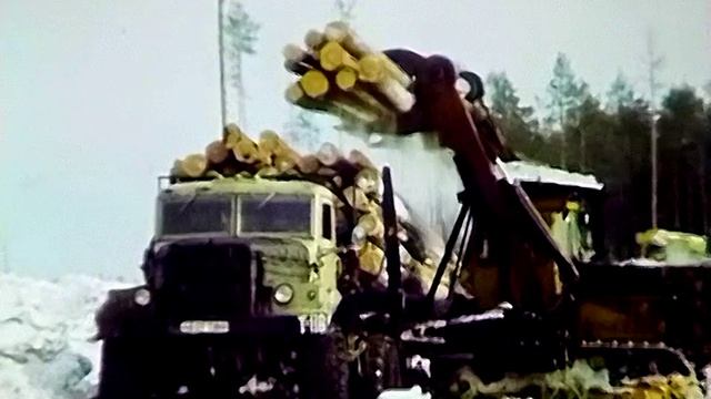 1987 год. Тюменская область. Заготовка леса