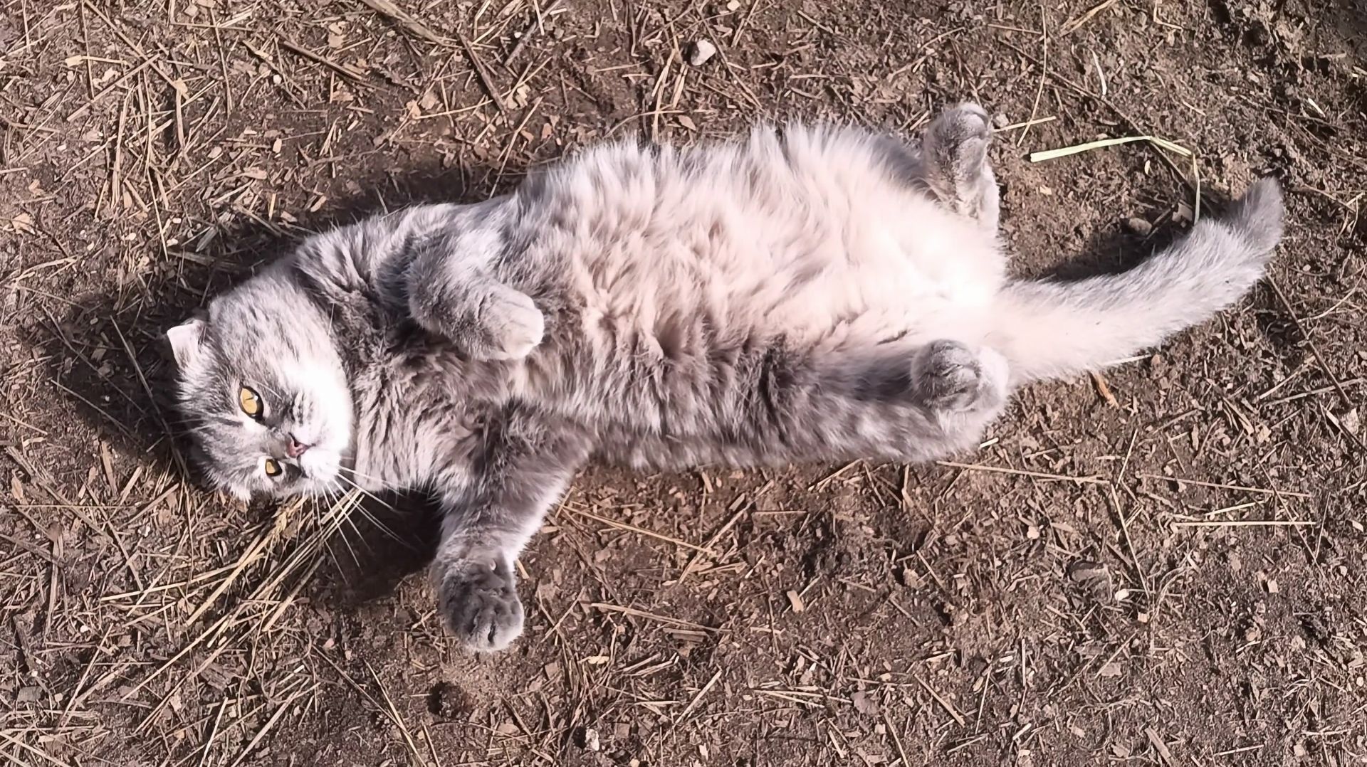 Солнечный день