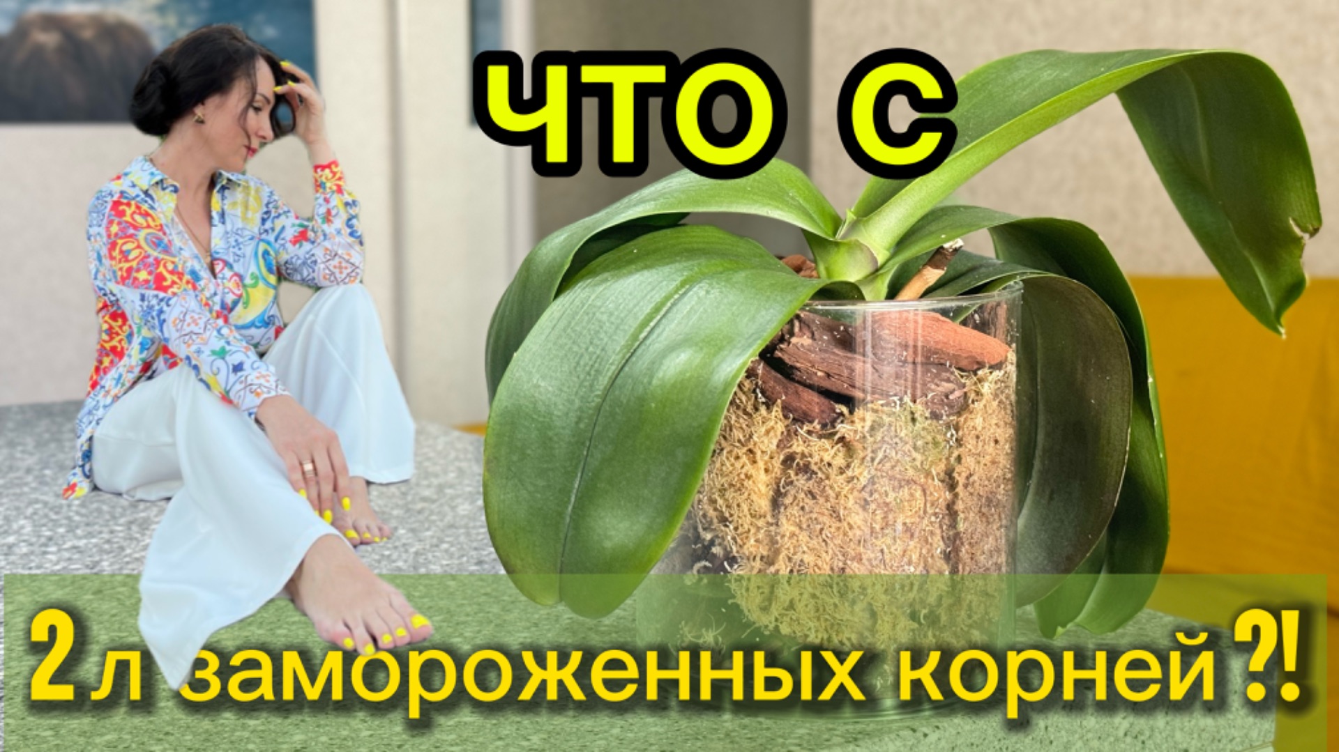 Корни растут отовсюду! ПРОДОЛЖЕНИЕ о переохлаждении корневой системы