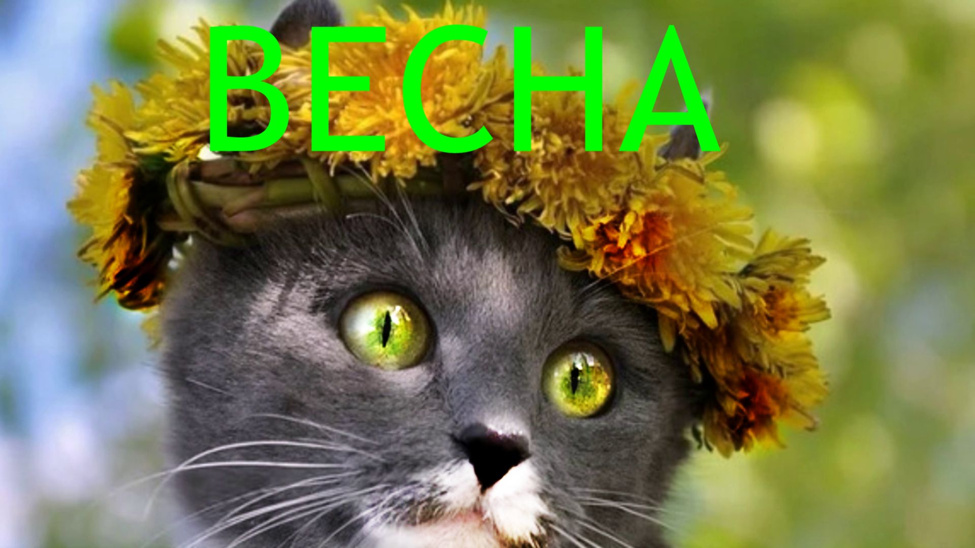 Весна-все оживает 👣