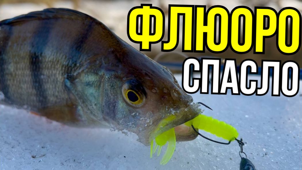 Паводок на малой реке. Почему Lox замолчал, а флуоресцентный  спас день?