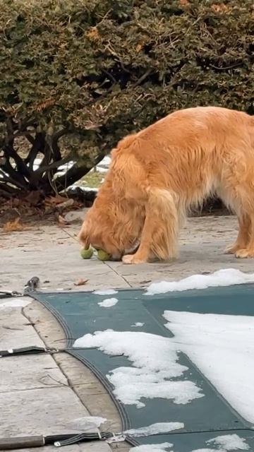 Когда решил не брать корзинку в магазине