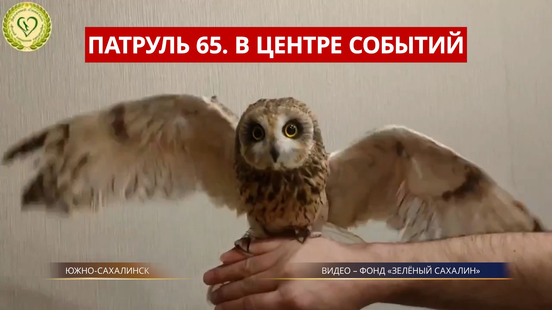 ПАТРУЛЬ 65. Поджог на Амурской, трактор скрылся с места ДТП и спасение совы. Сахалин 17.03.26