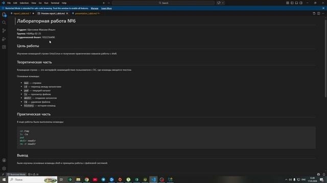 skrincast_процесс_презентации лаб6