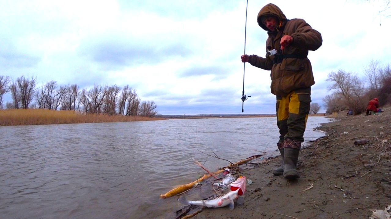 ПОЛМЕШКА ЗА ЧАС!! РЫБА МАССОВО ЗАШЛА! Рыбалка на судака на спиннинг