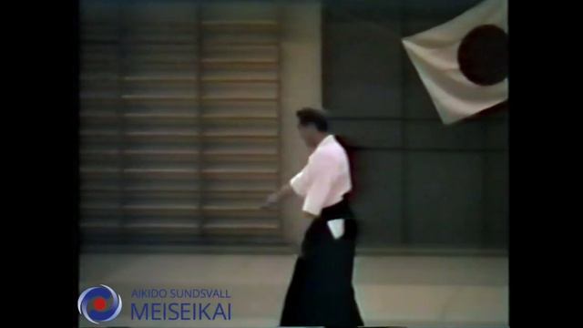 10.Aikido Ai Hanmi Nikyo Nishio Sensei Uppsala 1994