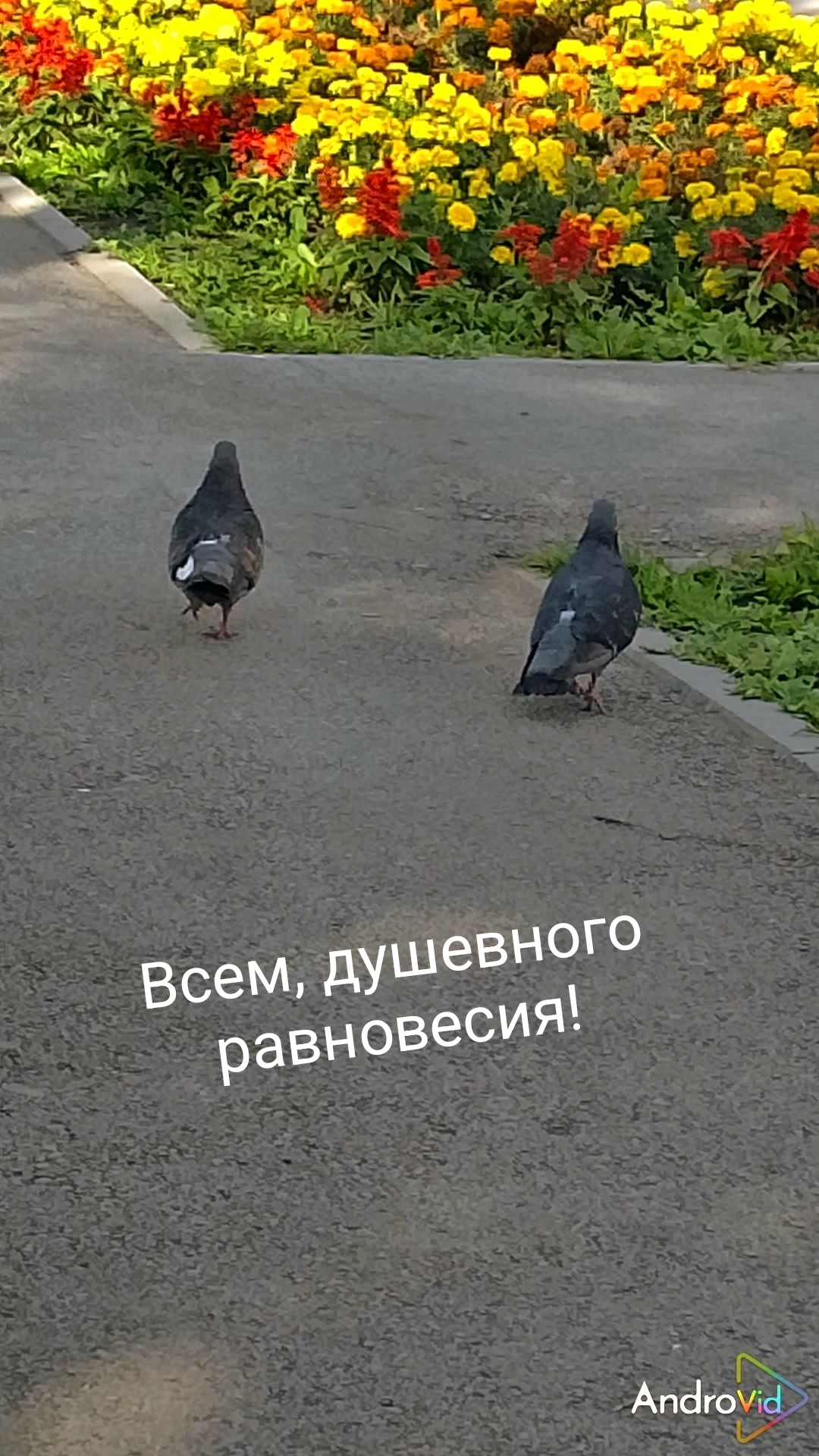 Всем, душевного равновесия! ❤️ 17-03-2026