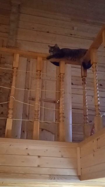 Только здесь я могу отдохнуть