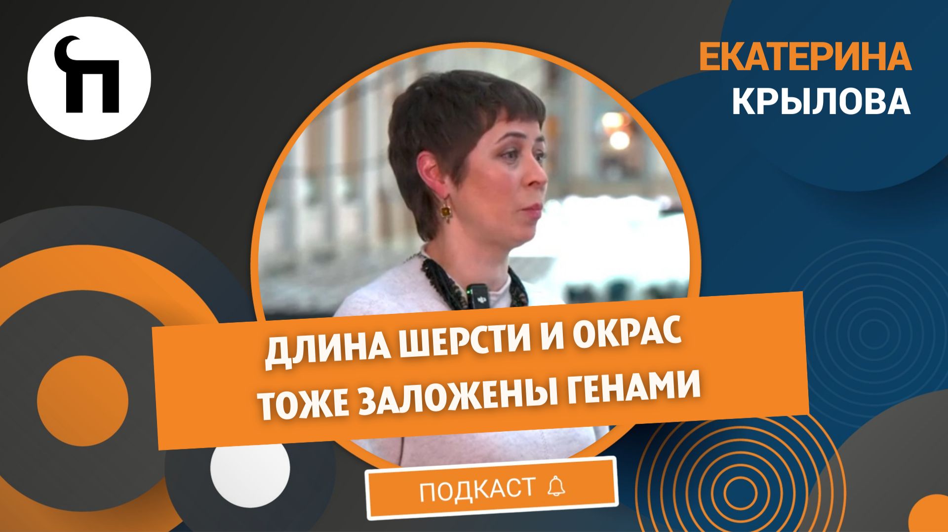 Какие генетические тесты стоит сделать вашему питомцу