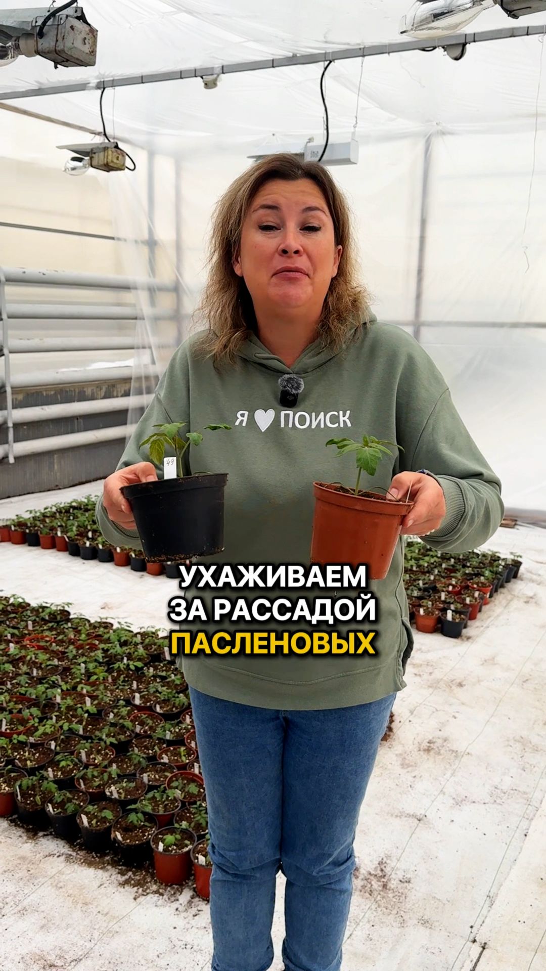 Ухаживаем за рассадой пасленовых ТОЛЬКО ТАК!