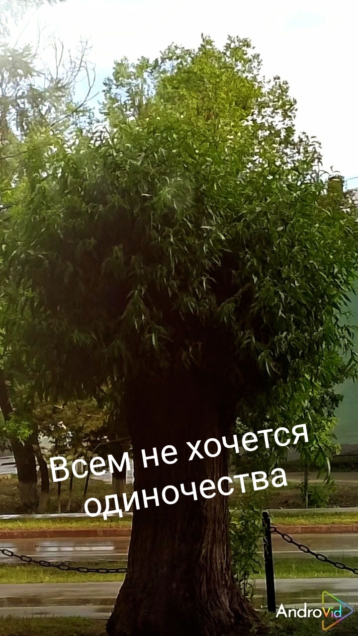 Всем, не хочется одиночества.. Счастливого утра! ❤️ 17-03-2026