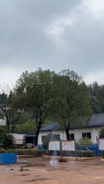 Салютная установка "Розовый веер лапша" (50/1,2) JF DMC30-50VM/01p