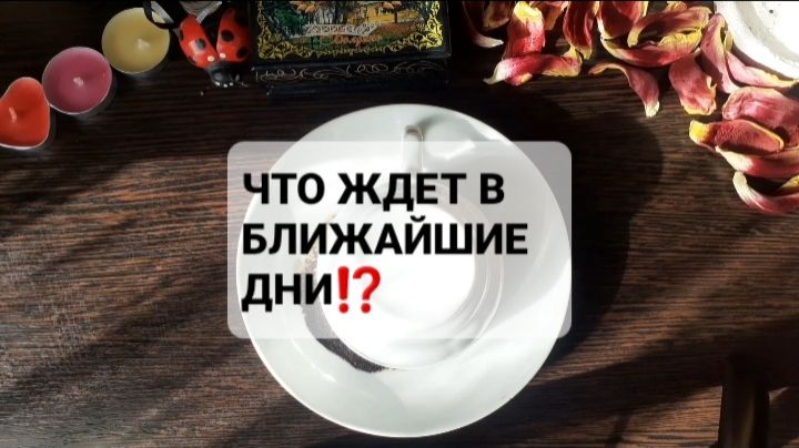 ЧТО ЖДЕТ!? ГАДАНИЕ НА КОФЕЙНОЙ ГУЩЕ