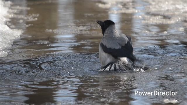Жители г.Липецк 14-15.03.26 г.