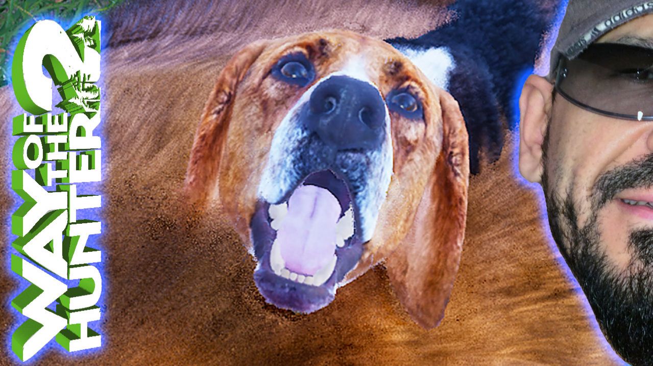 Невероятно реалистичный и красивый сим охотника Way of the Hunter 2