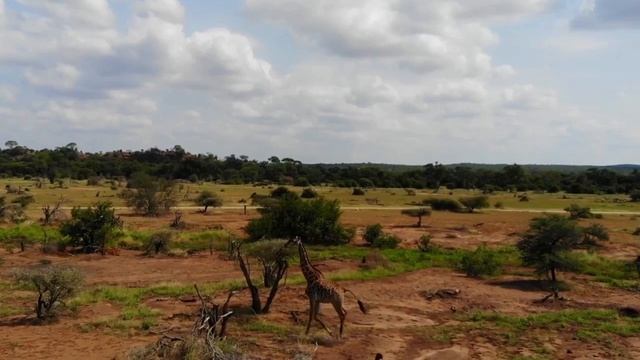 14 категория