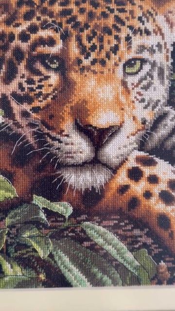 “Отдыхающий леопард” от Dimensions