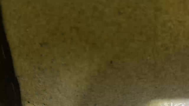 Осмотр спальных мест на наличие клопов!