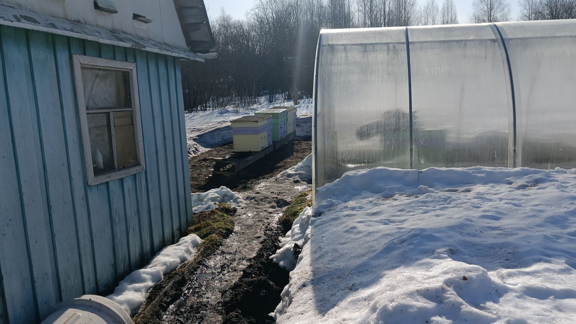 Привет вам от Дика и от меня.