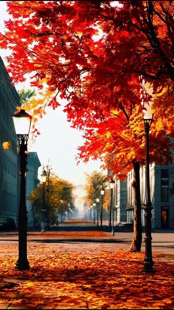 Мелодия осени