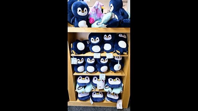 сувениры Фолкленд