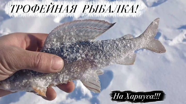Рыбалка на Хариуса! Мы Нашли Секретное Рыбное Местечко!!!
