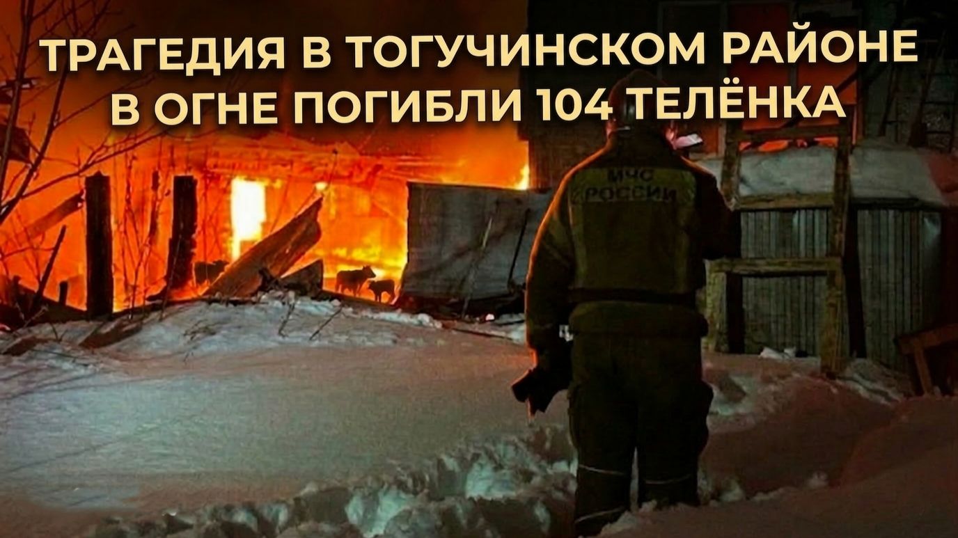 В Тогучинском районе СГОРЕЛА ферма!