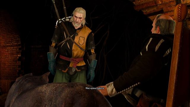 The Witcher 3 Серия 25