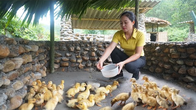 Строю утиный домик из камня и бетона для разведения уток. Серия 12. Се