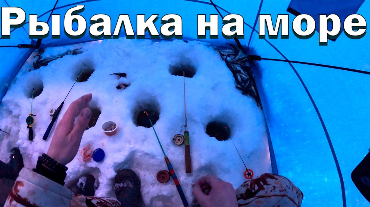 Рыбалка на белом море! Ловля наваги на креветку и скумбрию!