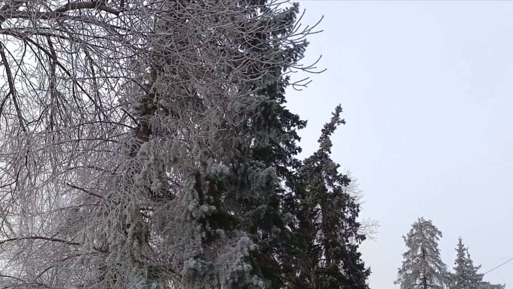 💃Прогуляла работу, врачи, грачи, встаём на лыжи 🌤️ 17.03.2026 Оренбург