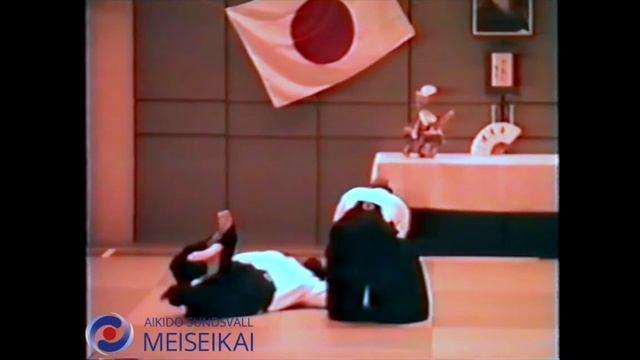 17.Aikido Ai Hanmi Ikkyo Ura Variation Nishio Sensei Uppsala 1994
