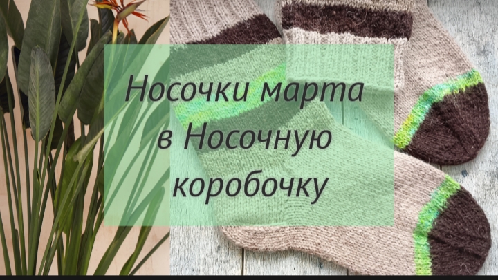 Мартовские носочки в СП Носочная коробочка 2026🎁🧦 с Катериной Шурм.Участник №23
