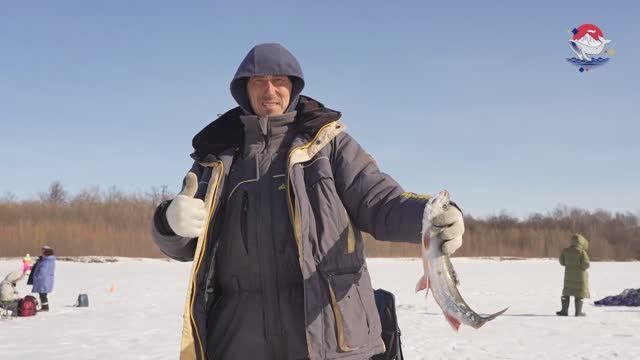 «Золотая рыбка — 2026»