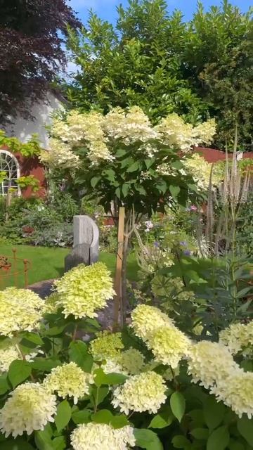 Красивейший сад со множеством растений