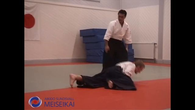 8.Aikido Ai Hanmi Ikkyo Ura Shishiya Sensei Sandviken 2002